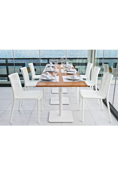 Papatya Tüm Renkler Cool Çok Amaçlı Sandalye