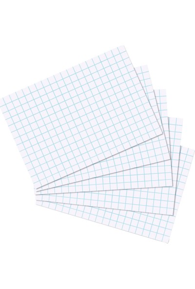 Herlitz Kartoteks A5 100'lü Kareli Beyaz 10621290