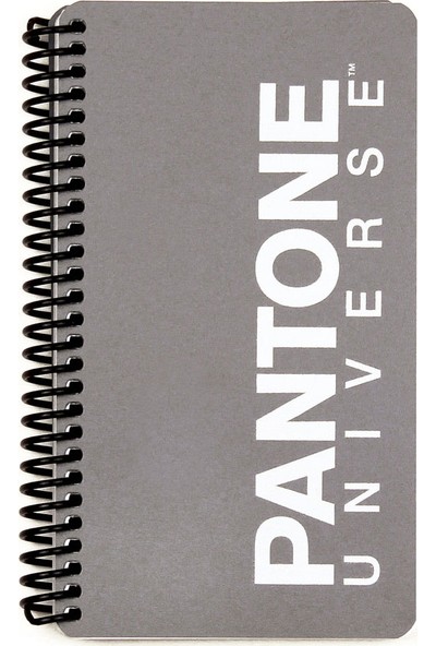 Pantone Pp Kapak Small Boy Noktalı Defter Gri 47209-6