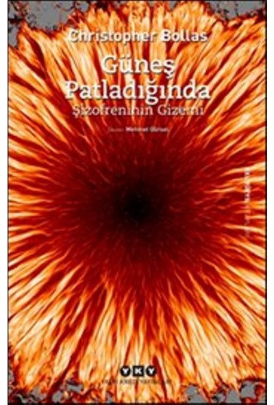 Güneşi Patladığında: Şizofreninin Gizemi - Christopher Bollas