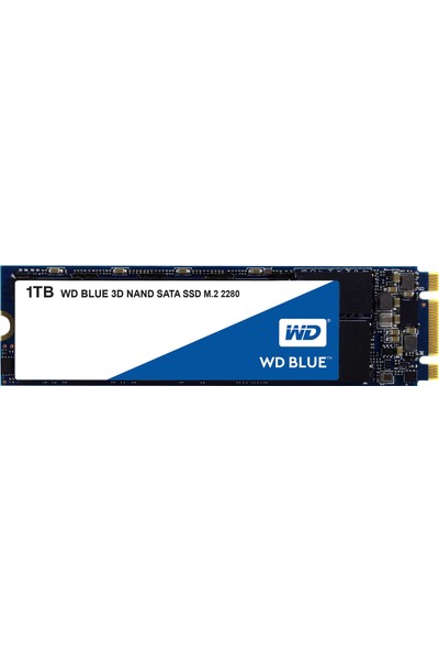 WD 1TB Sata Blue M.2 SSD WES100T2B0B