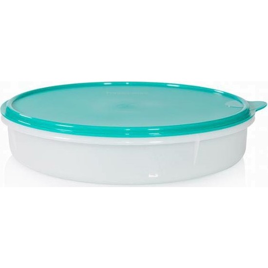 Tupperware Alaska 3.8 Litre Buzluk Kabı Fiyatı