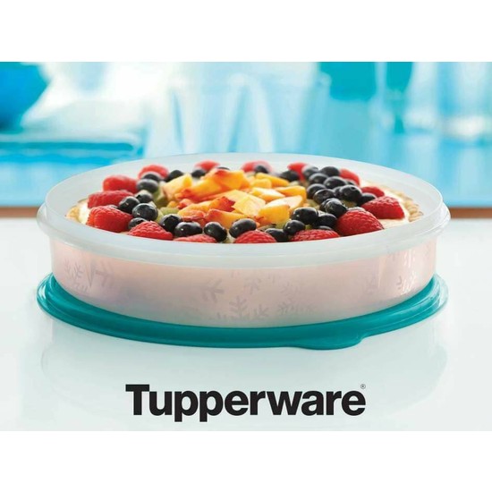 Tupperware Alaska 3.8 Litre Buzluk Kabı Fiyatı