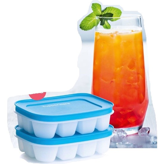 Tupperware Alaska Buzluk 2'Li ( Hasgül ) Fiyatı