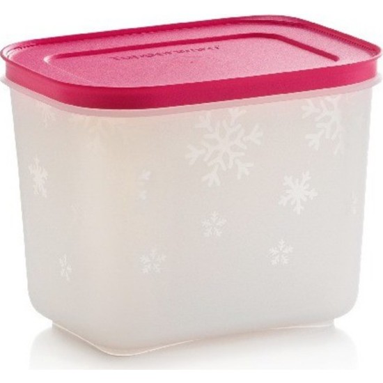 Tupperware Alaska Kare Set 2'li Fiyatı - Taksit Seçenekleri
