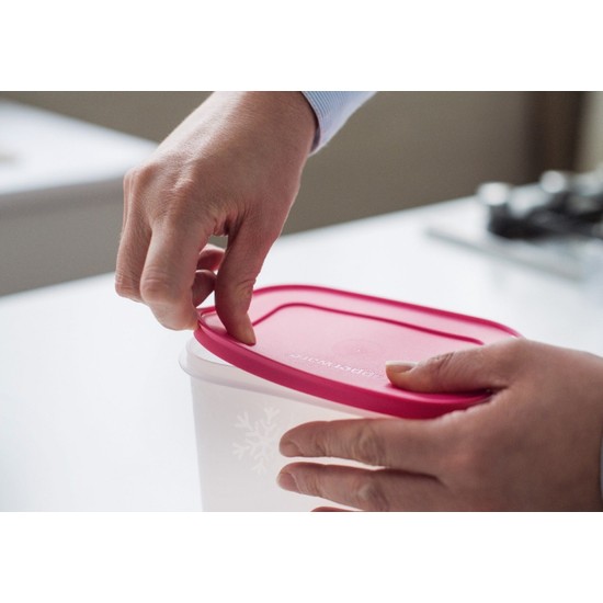 Tupperware Alaska Kare Set 2'li Fiyatı - Taksit Seçenekleri