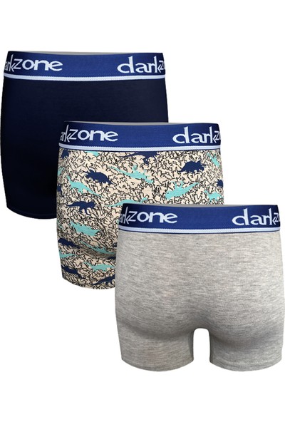 Darkzone Çok Renkli Erkek Boxer - DZN9105