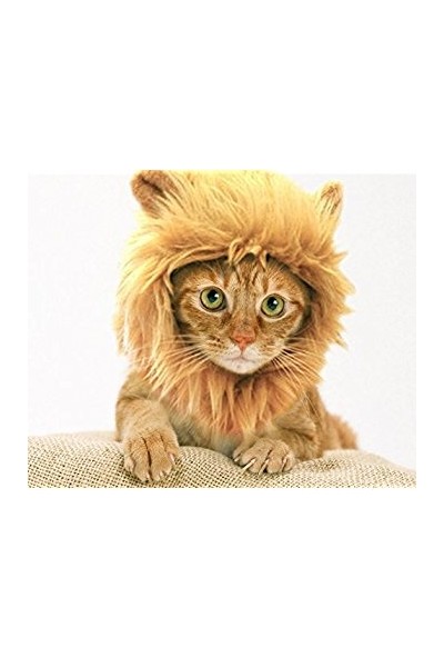 Amazeus Kedi Aslan Yelesi Peruk