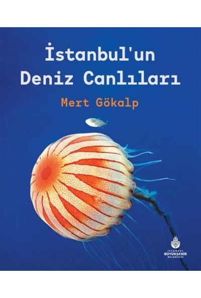 Istanbul'un Deniz Canlıları - Mert Gökalp