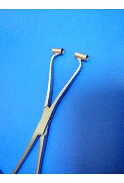 Piercing Septum Delim Pensi