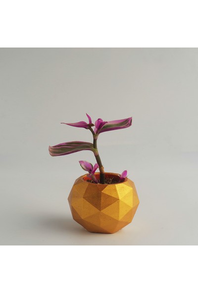 Yıldız Hobi Sanat Evi Prizma Saksı Yıldız Hobi Sanat Evi Prizma Saksı