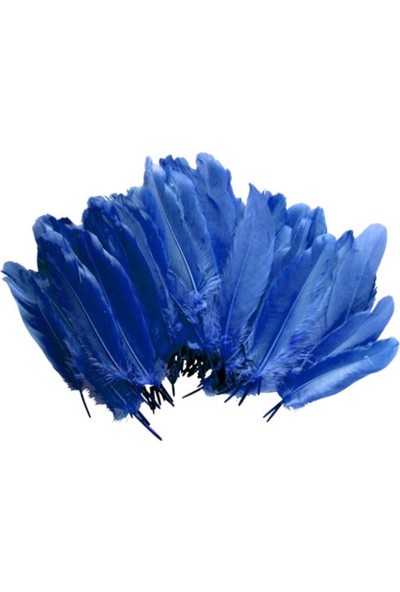 Bimbambom Renkli Kuş Tüyleri, Hobi Aksesuar Süs Malzemeleri 100 Adet