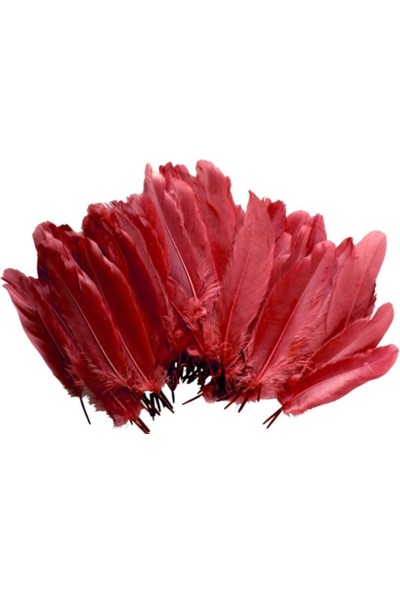 Bimbambom Renkli Kuş Tüyleri, Hobi Aksesuar Süs Malzemeleri 100 Adet