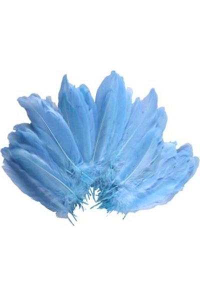 Bimbambom Renkli Kuş Tüyleri, Hobi Aksesuar Süs Malzemeleri 100 Adet