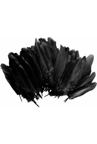 Bimbambom Renkli Kuş Tüyleri, Hobi Aksesuar Süs Malzemeleri 100 Adet