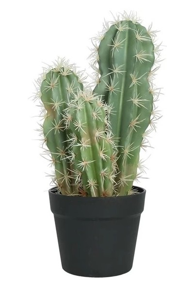 Vitale 3'lü Yeşil Yapay Kaktüs 21X42 cm