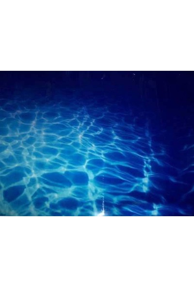 Canlipetshop Arka Fon (Yakamoz) 50 cm Uzunluk Yükseklik 80 cm