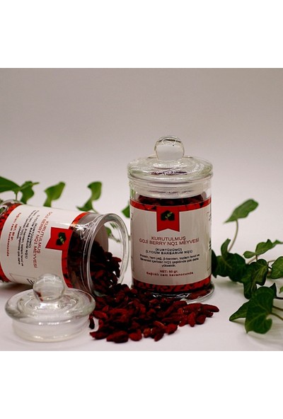 Eget Kurutulmuş Goji Berry Nq1 Meyvesi Eget Kurutulmuş Goji Berry Nq1 Meyvesi