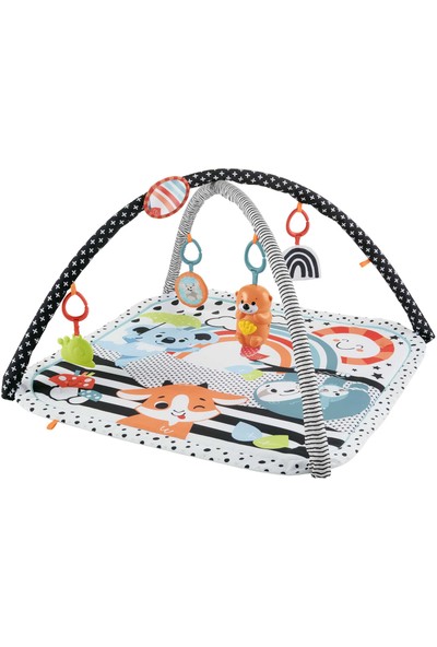 Fisher Price Neşeli Hayvanlar 3'ü 1 Arada Jimnastik Merkezi HBP41
