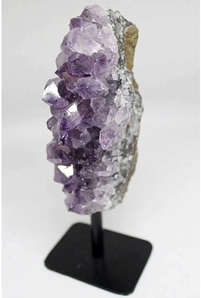 Yaşam Tohumu Dekoratif, Koleksiyonluk Ametist Taşı