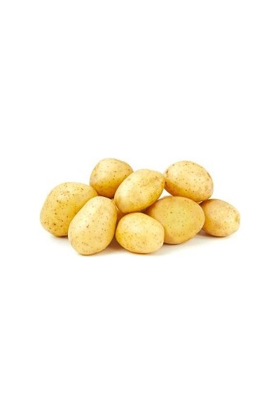 Antalya Patates