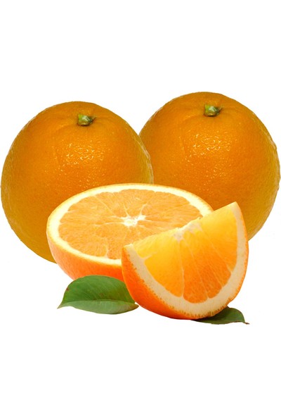 Antalya Portakal Meyvelik