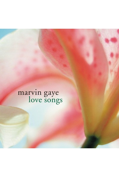 Marvin Gaye Love Songs