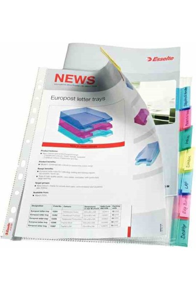 Esselte 414150 Ayraçlı Poşet Dosya 8 Renk
