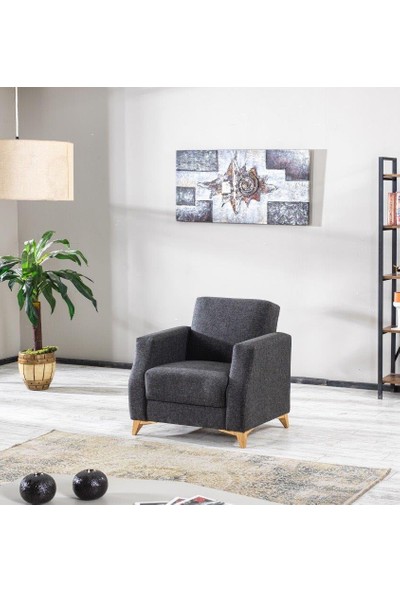 Ipek Mobilya Doremi Tekli Koltuk Berjer ( Gri )