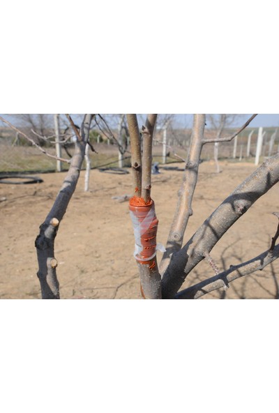 Gmt Eks Aşı ve Budama Macunu 500 gr