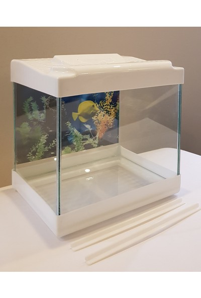 Lüx Ev Ofis Cam(4mm) Mini Akvaryum ( 20×20 Fon Dahil)
