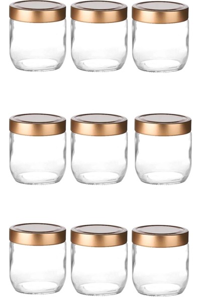 Cosiness 9 Lu Cam Kavanoz Set 425 ml