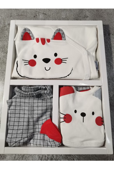 Miniworld Kedili 5'li Hastane Çıkışı Miniworld Kedili 5'li Hastane Çıkışı