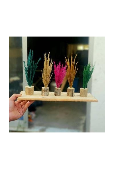 Doğal Kütükte Renkli Pampas Çiçeği 3 Adet 15-25 cm Doğal Kütükte Renkli Pampas Çiçeği 3 Adet 15-25 cm