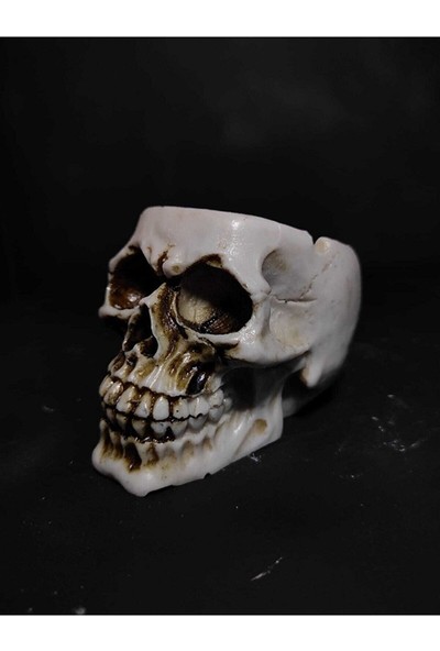 Zer Sanat Dekoratif Kurukafa Küllük