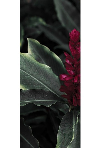 Duvar Dekor Yaprak Desenli Buzdolabı Sticker 026