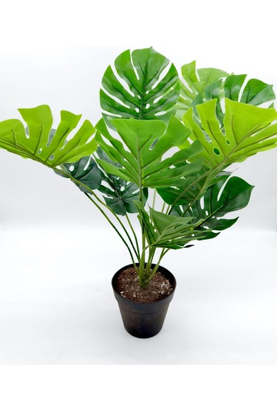 Creart Home Saksılı Yapay Çiçek Devetabanı 40 cm CCK0191 Kermanhome1