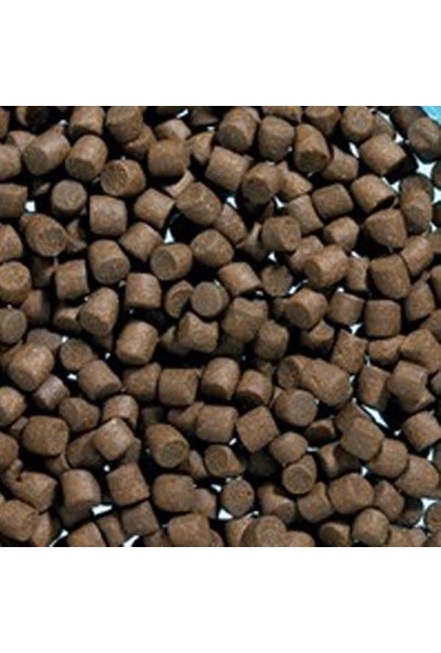 Süper Çekici Alabalık Extrude 8 mm Plus Yem - 1000 Gram (1 Kg)