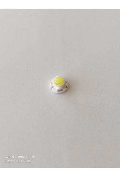Spechton T4.7 12V 0,24 W Gösterge Ampulü Beyaz