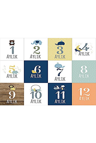 Esc Hamile Anne Bebek Anı Fotoğrafları 12 Li Esc Hamile Anne Bebek Anı Fotoğrafları 12 Li