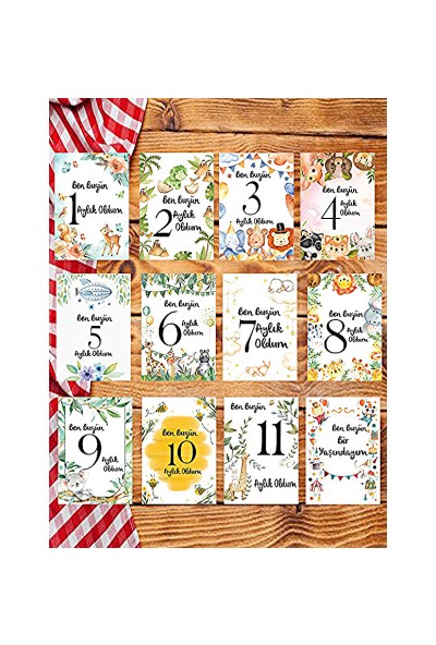 Esc Hamile Anne Bebek Anı Fotoğrafları 12 Li Esc Hamile Anne Bebek Anı Fotoğrafları 12 Li