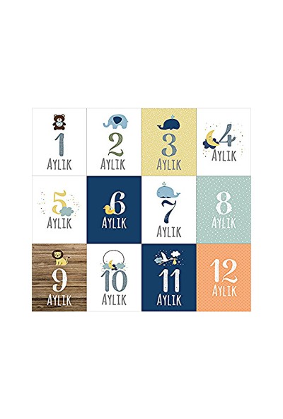 Esc Hamile Anne Bebek Anı Fotoğrafları 12 Li Esc Hamile Anne Bebek Anı Fotoğrafları 12 Li