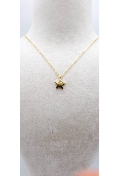 925K Altın Kaplama Plaka Yıldız Gümüş Kolye 925K Altın Kaplama Plaka Yıldız Gümüş Kolye