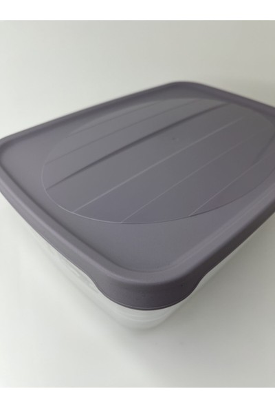 Pieris Saklma Kabı Dikdörtgen 2li Set 3litre Hacimli Bpa Içermez Sağlığa Uygundur Pieris Saklma Kabı Dikdörtgen 2li Set 3litre Hacimli Bpa Içermez Sağlığa Uygundur