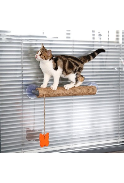 Generic Pet Kedi Eğlenme ve Tırmalama Oyuncakları (Yurt Dışından)