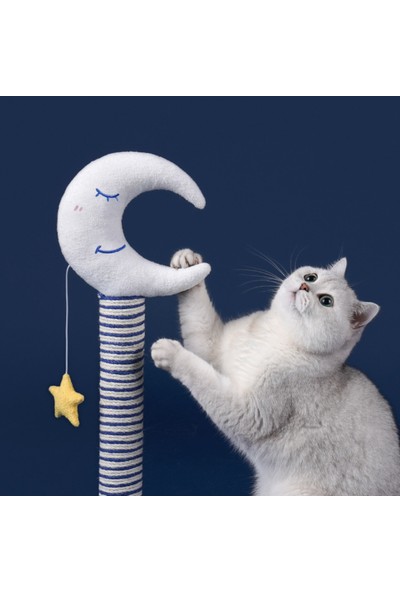 Generic Pet Kedi Eğlenme ve Tırmalama Oyuncakları (Yurt Dışından)