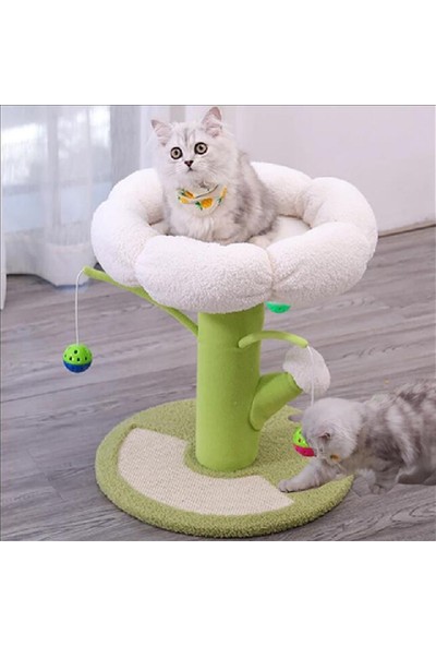 Generic Pet Kedi Eğlenme ve Tırmalama Oyuncakları (Yurt Dışından) Generic Pet Kedi Eğlenme ve Tırmalama Oyuncakları (Yurt Dışından)