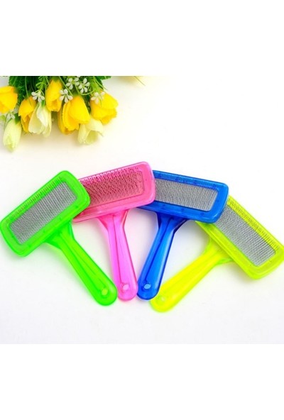 Bernam Şeffaf Evcil Hayvan Fırçası Telli 4 Renk