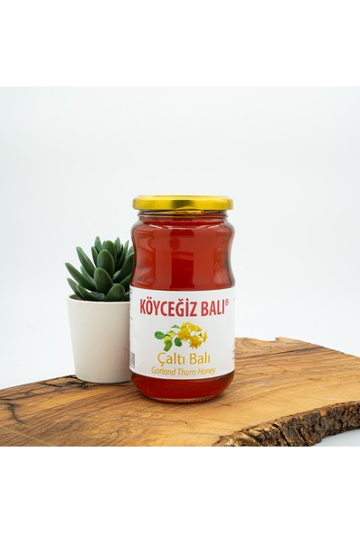 Köyceğiz Balı Çaltı Balı 450 G Cam Kavanoz Köyceğiz Balı Çaltı Balı 450 G Cam Kavanoz