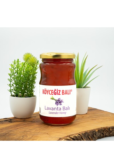 Köyceğiz Balı Lavanta Balı 450 G Cam Kavanoz Köyceğiz Balı Lavanta Balı 450 G Cam Kavanoz